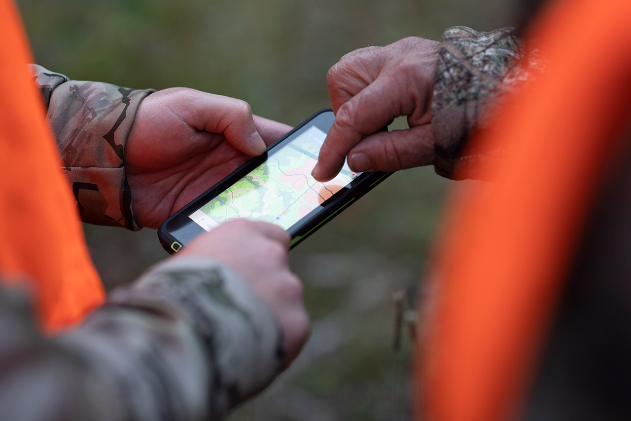 Chasser l’orignal en réserve faunique - Chasse - Sépaq