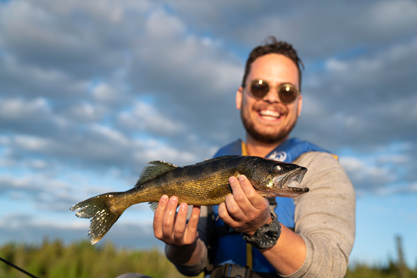 Plan de gestion du doré jaune - Réserve faunique La Vérendrye - Sépaq